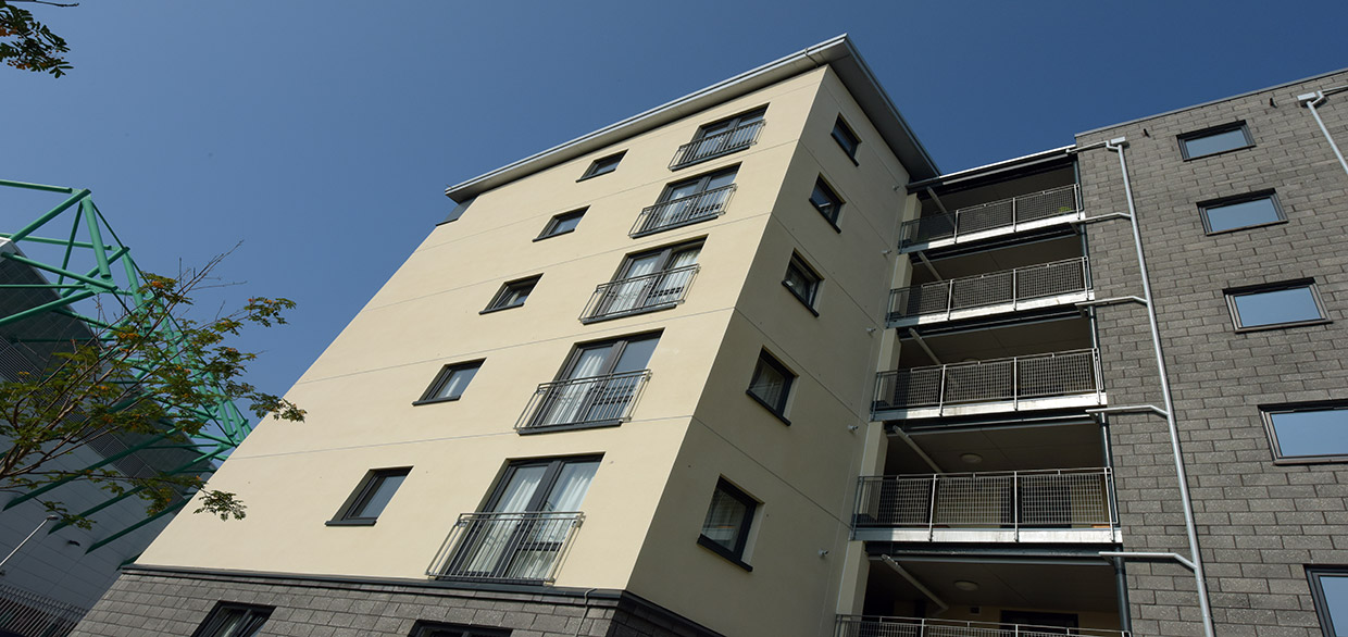 Magply Renderpro Render Board 12mm – Rowebb